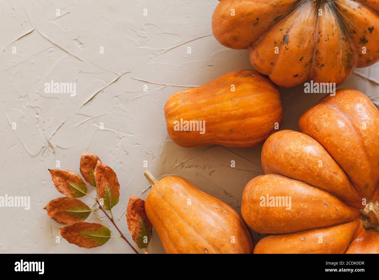A group of different size autumn pumpkins with fall leaves Stock Photo ...