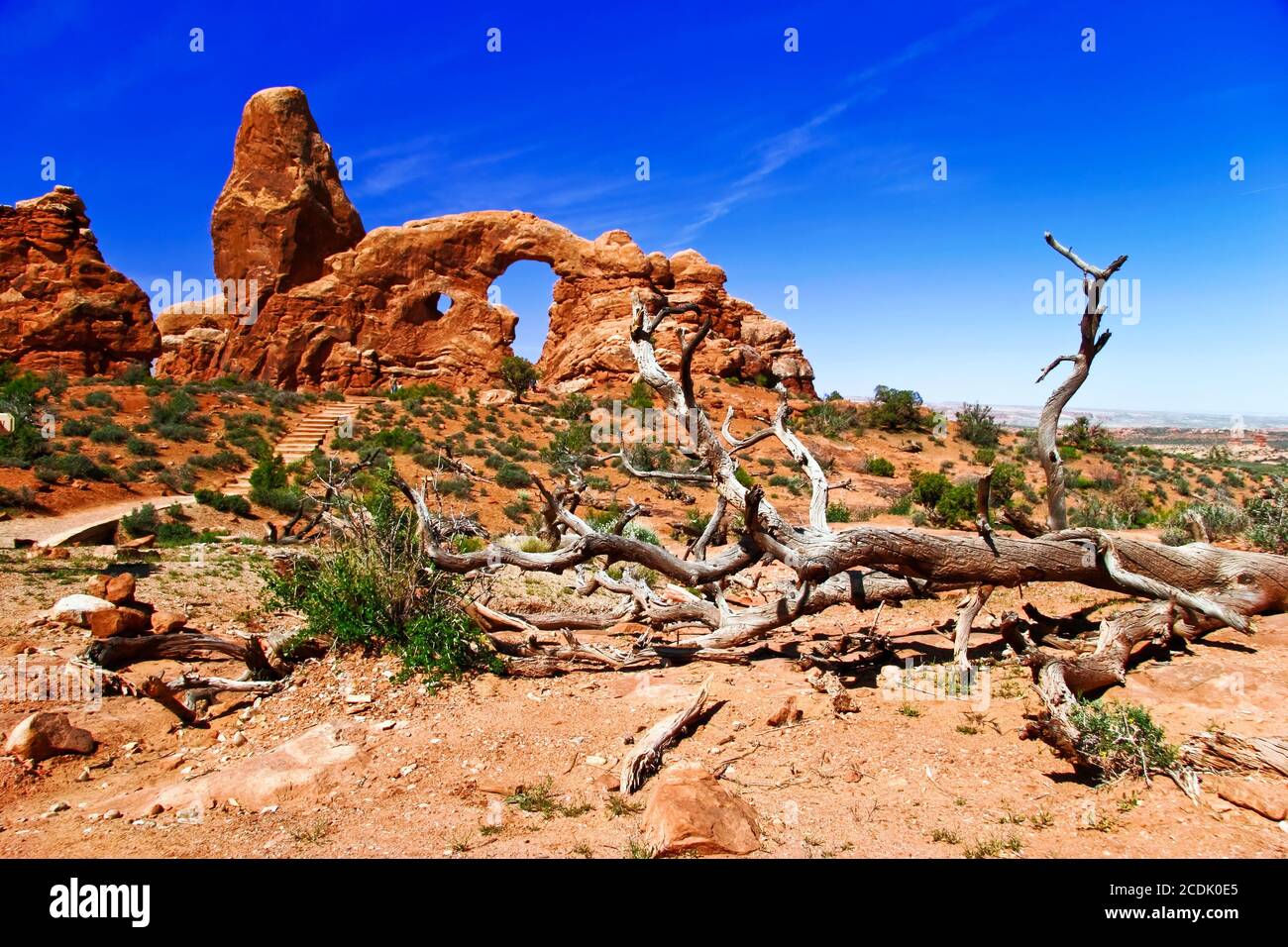 Sunny day in Arches Canyon Stock Photo - Alamy