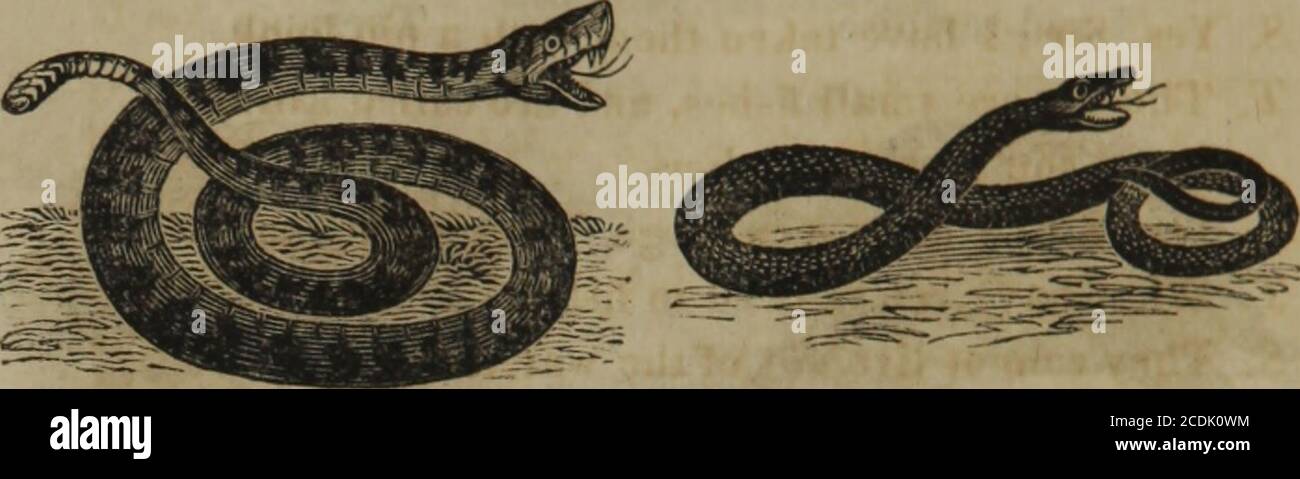 . Elementary exercises for the deaf and dumb . m m [ 282 ](81st ...