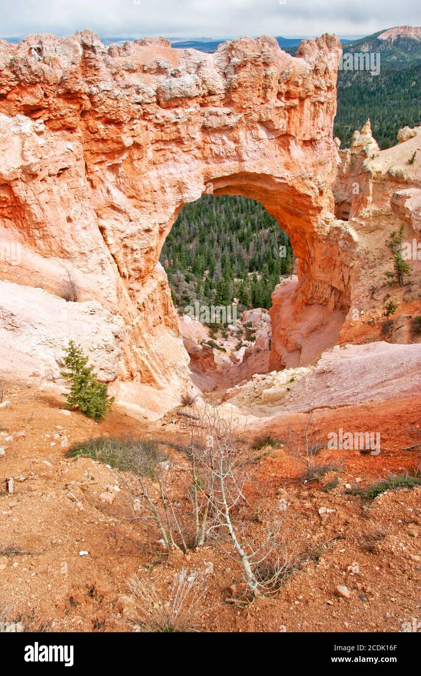 Slopes of Bryce Canyon. Utah. USA Stock Photo - Alamy