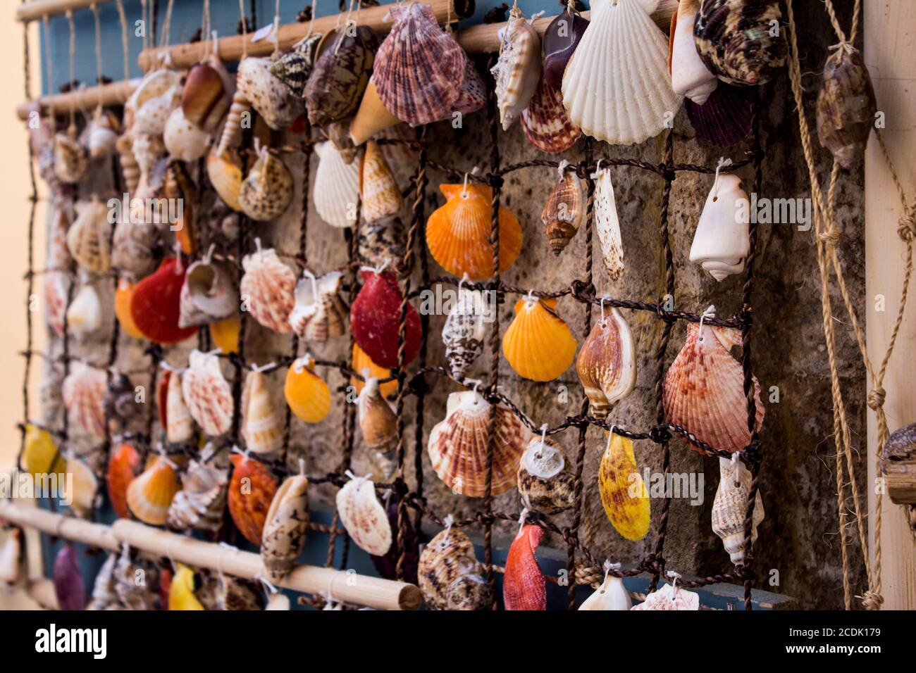 Seashells on the wall of the market Stock Photo - Alamy