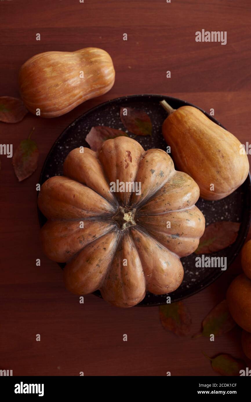 A group of different size autumn pumpkins with fall leaves Stock Photo ...