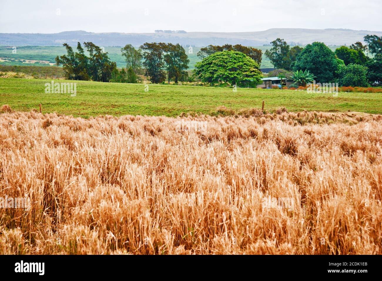 Rural hawaii hi-res stock photography and images - Alamy