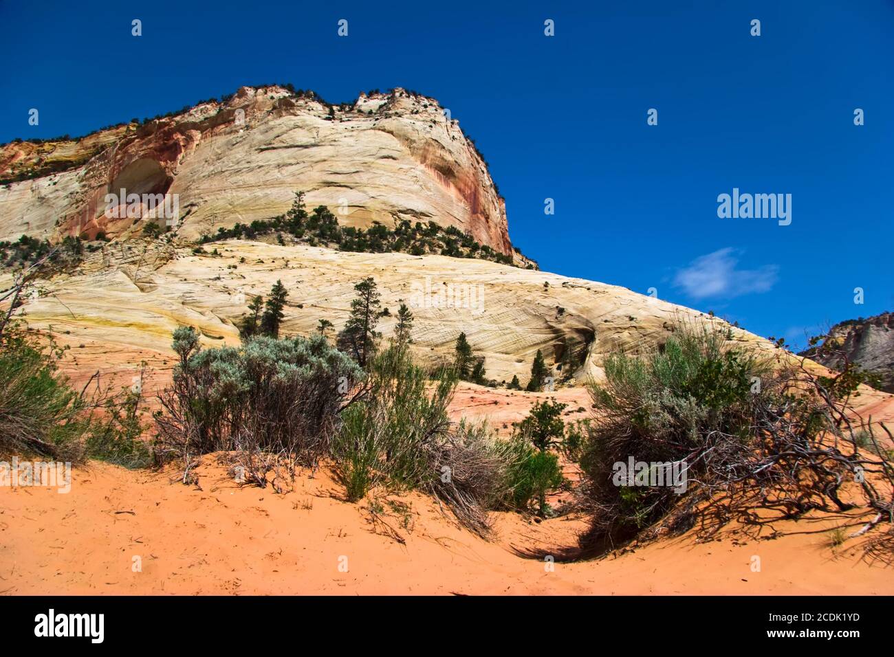 Slopes of Zion canyon. Utah. USA Stock Photo - Alamy