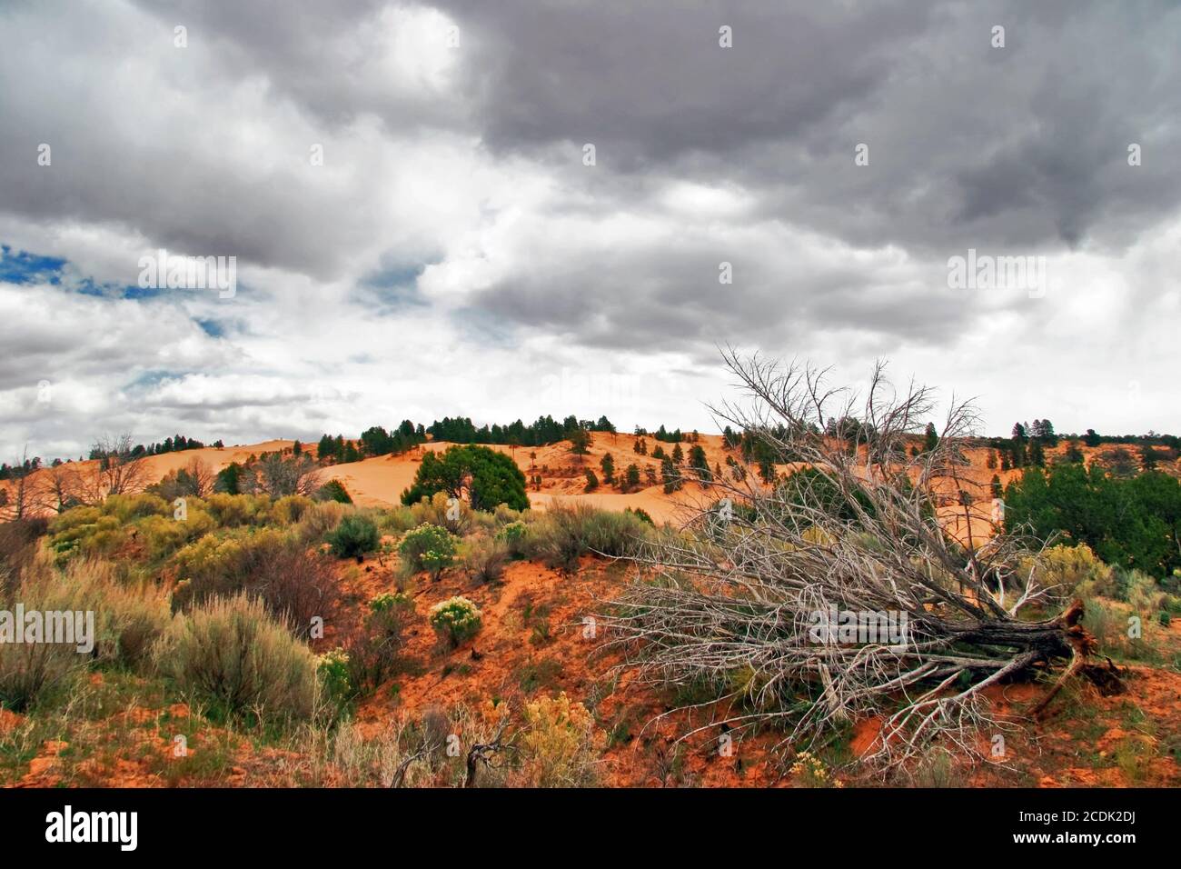 Landscape of Utah state. USA Stock Photo - Alamy