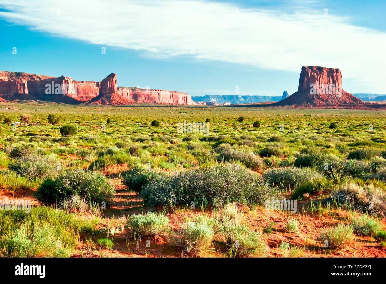 Sunny arizona hi-res stock photography and images - Alamy
