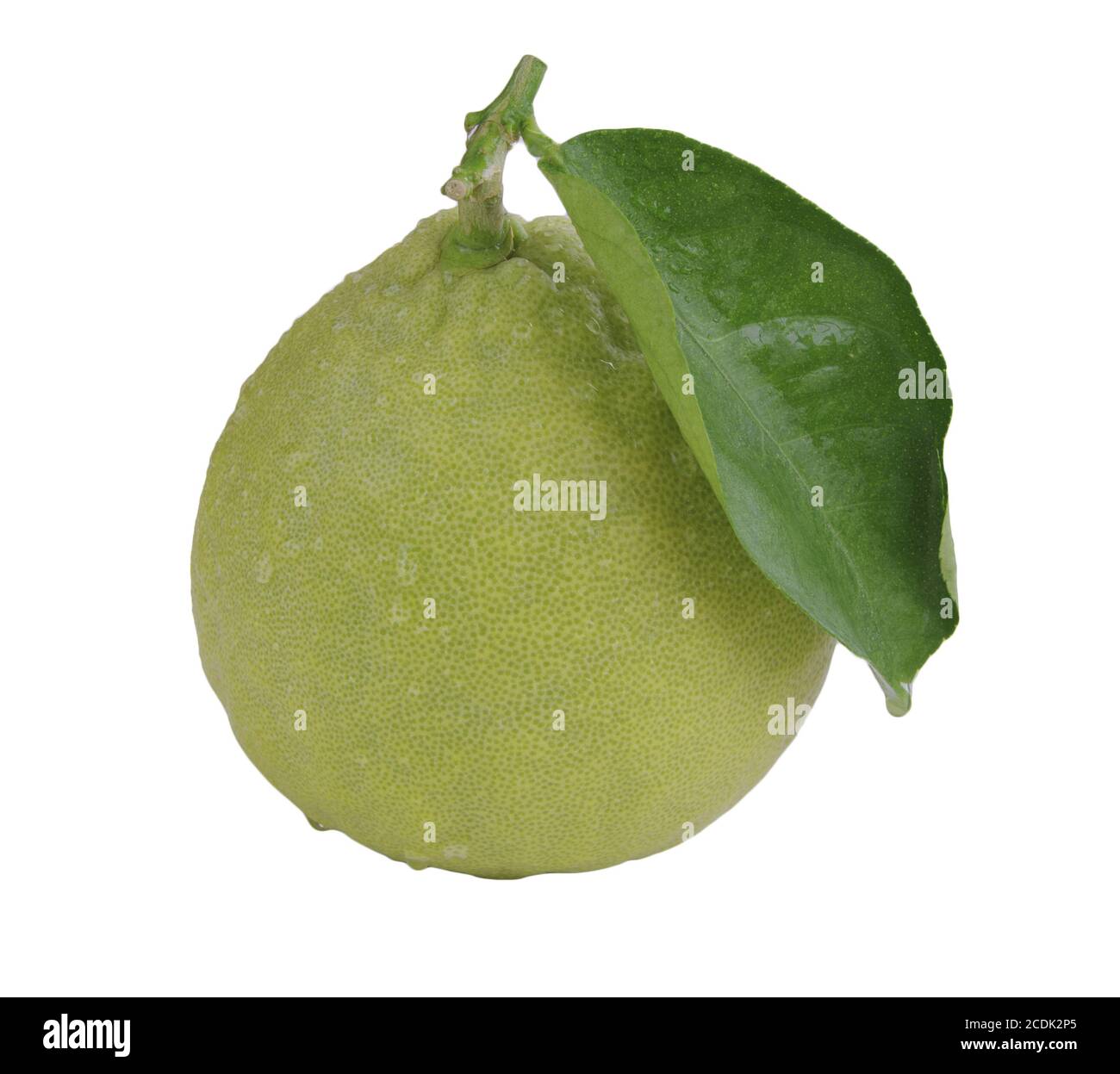 Wet sweet sour lemon Cut Out Stock Images & Pictures - Alamy