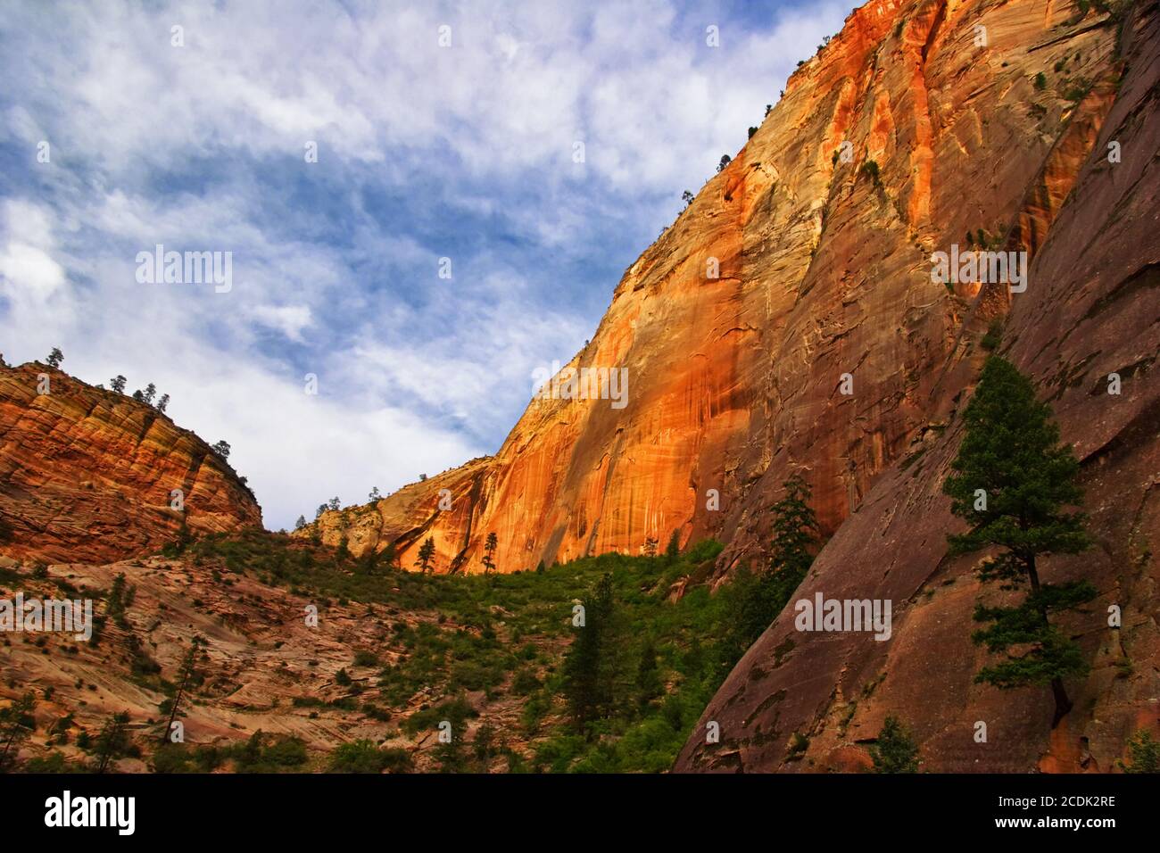 Slopes of Zion canyon. Utah. USA Stock Photo - Alamy