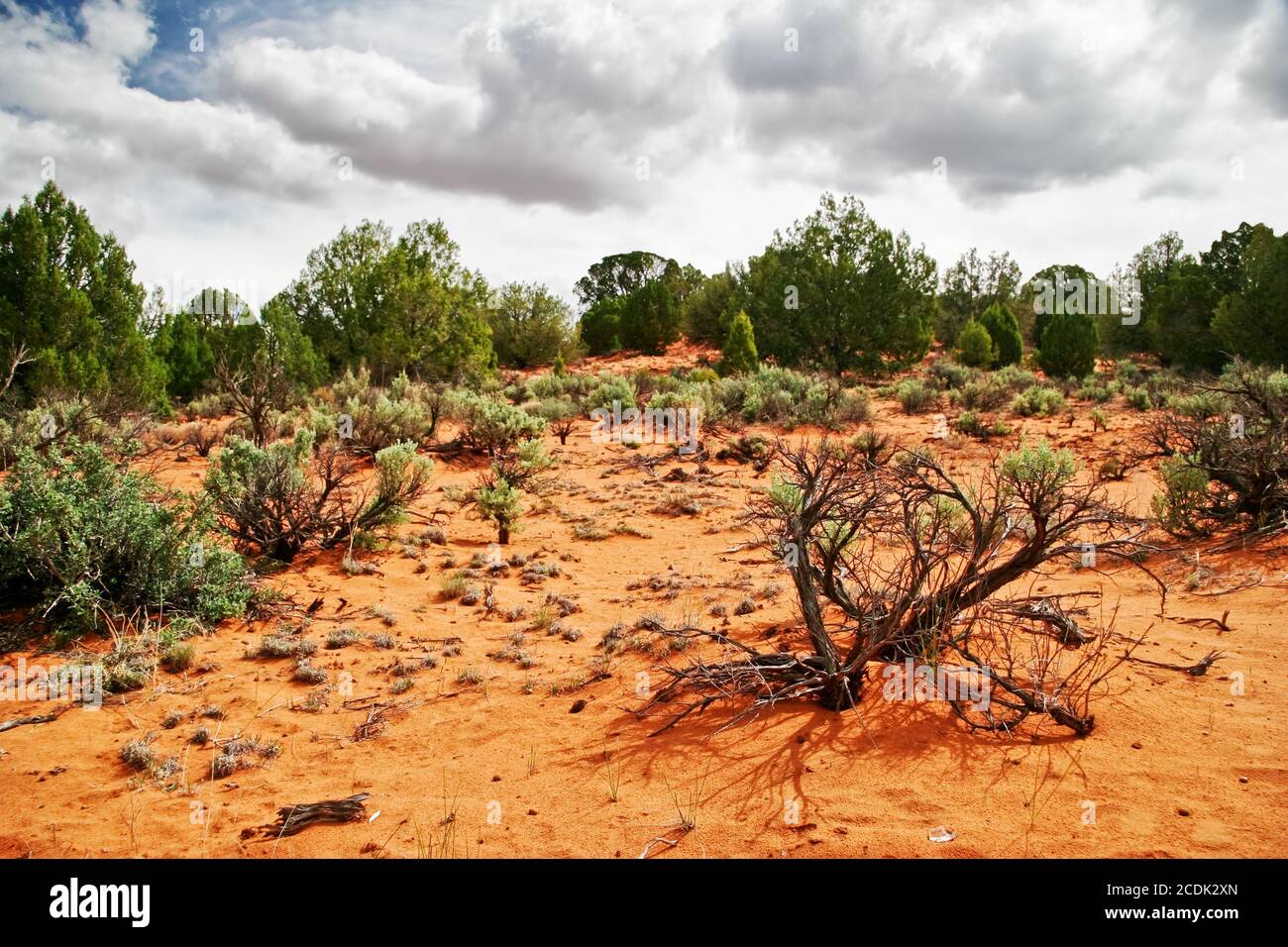 Landscape of Utah state. USA Stock Photo - Alamy