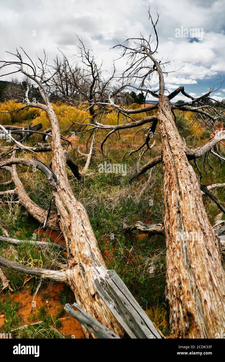 Landscape of Utah state. USA Stock Photo - Alamy