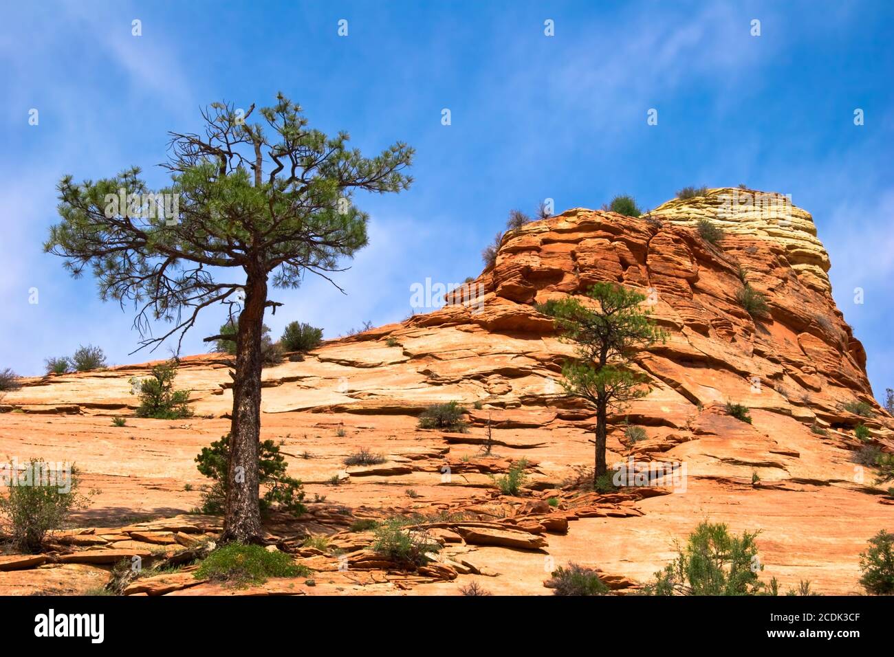Slopes of Zion canyon. Utah. USA Stock Photo - Alamy