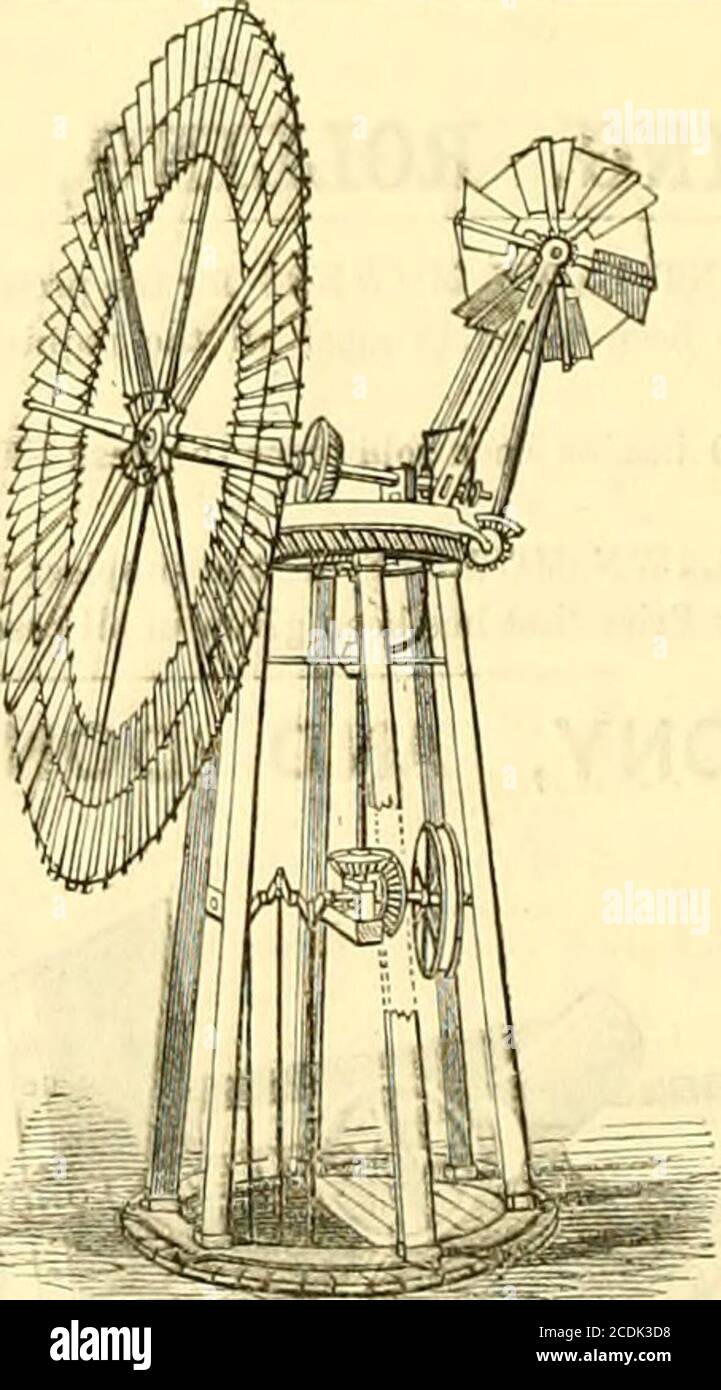 . The Gardeners' chronicle and agricultural gazette . ?jITa, in lion ...