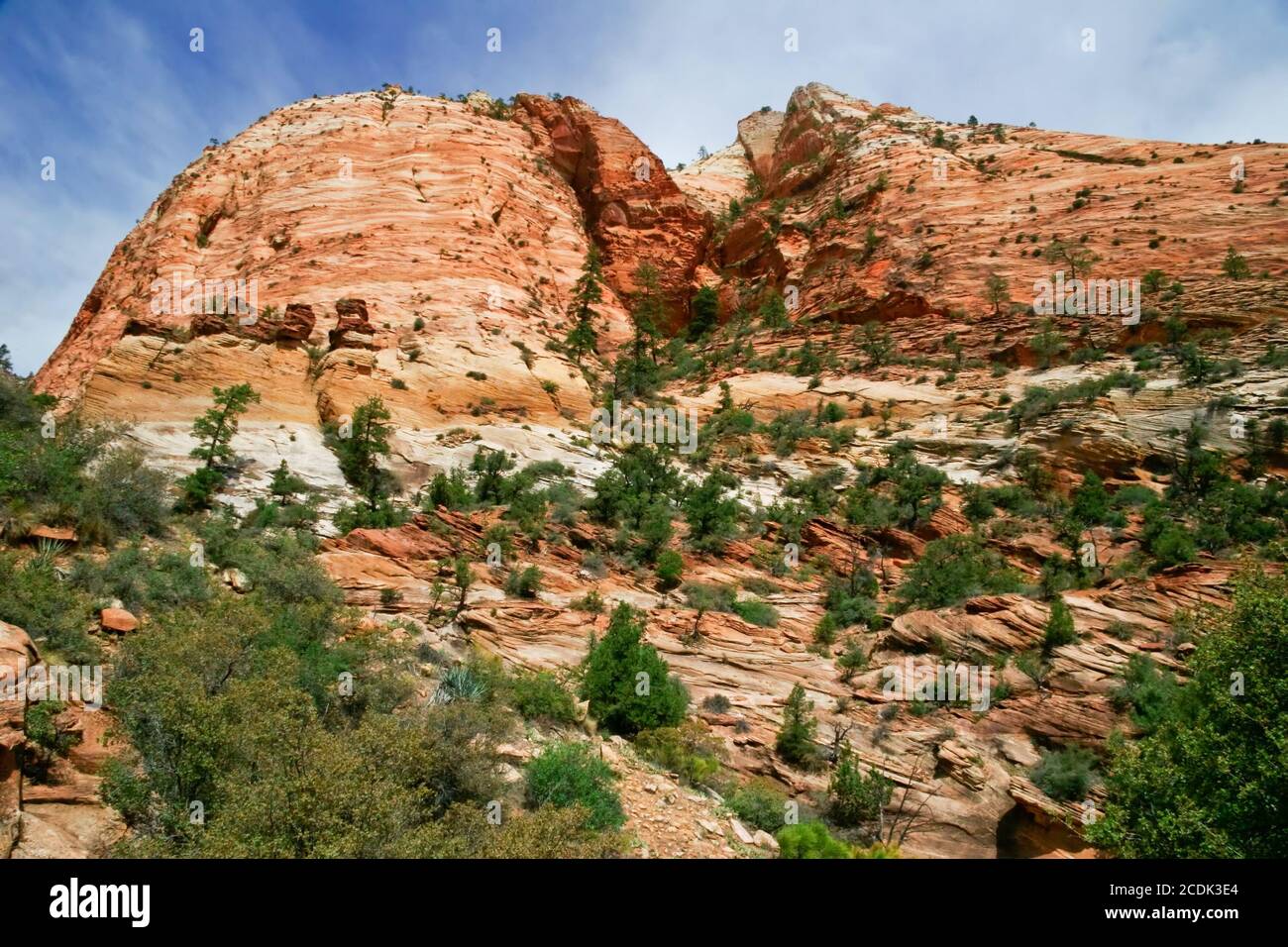 Slopes of Zion canyon. Utah. USA Stock Photo - Alamy