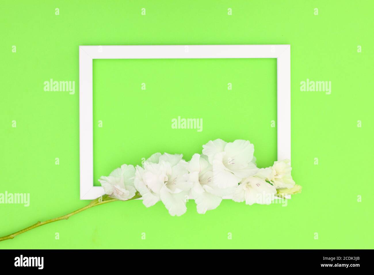 Creative decorated wooden frame for photo and text Stock Photo - Alamy