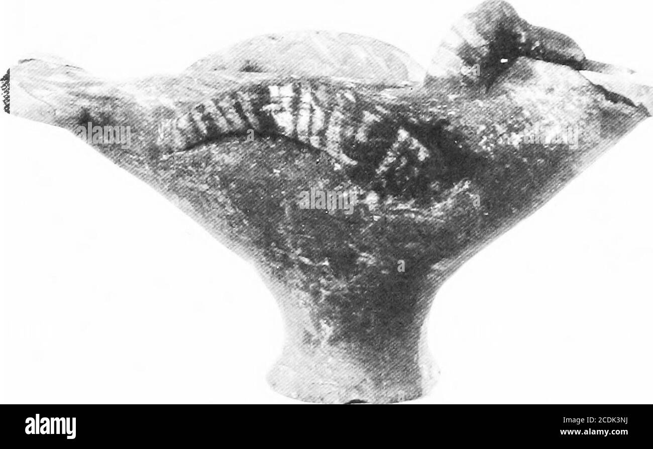 Lithic stage hi-res stock photography and images - Alamy