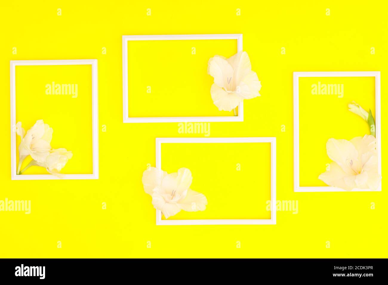 Creative decorated wooden frame for photo and text Stock Photo - Alamy
