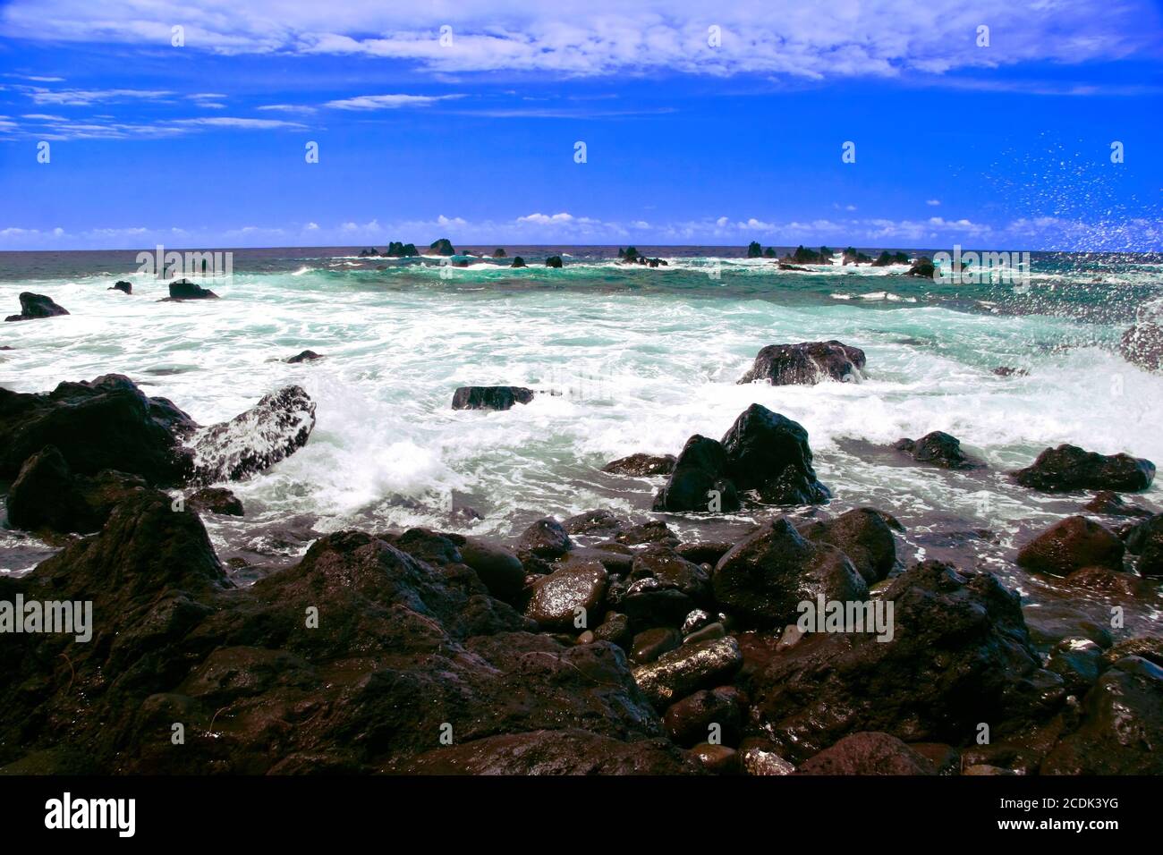 Swim with ocean view hi-res stock photography and images - Alamy