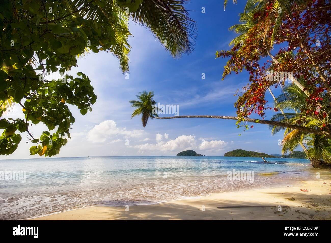 Exotic tropical beach Stock Photo - Alamy