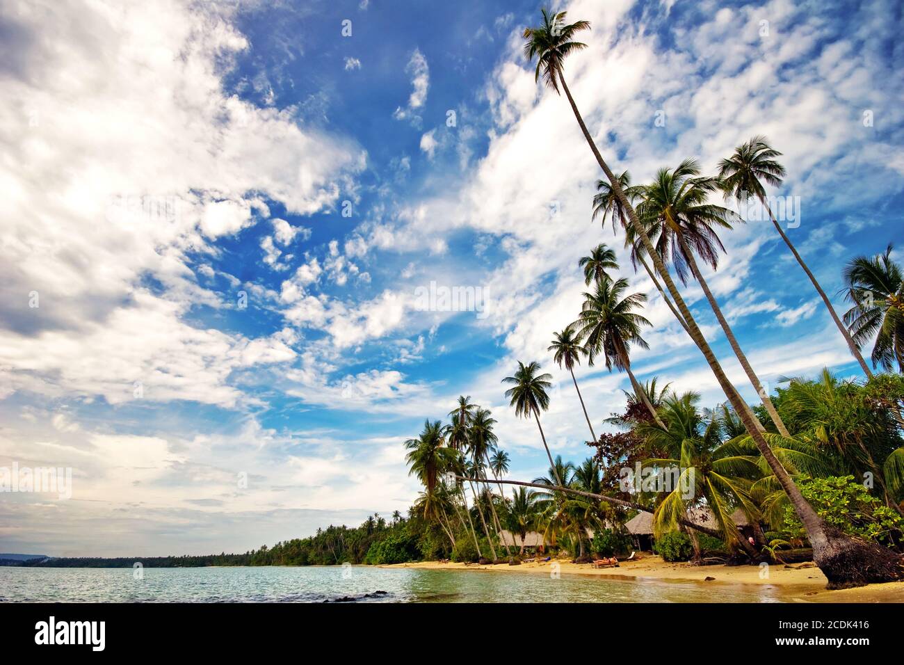 Exotic tropical beach Stock Photo - Alamy