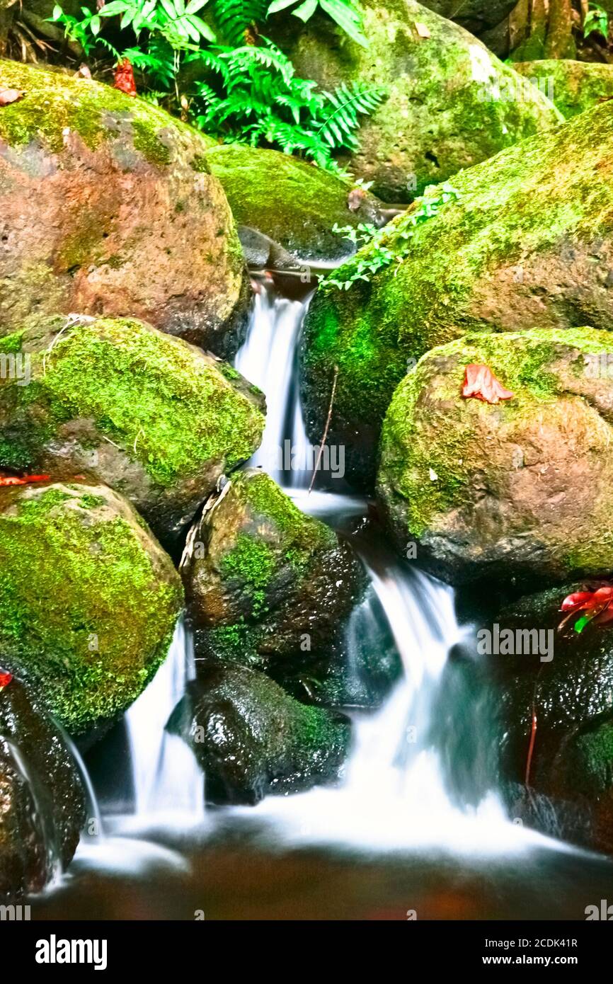 Palm spring creek hi-res stock photography and images - Alamy