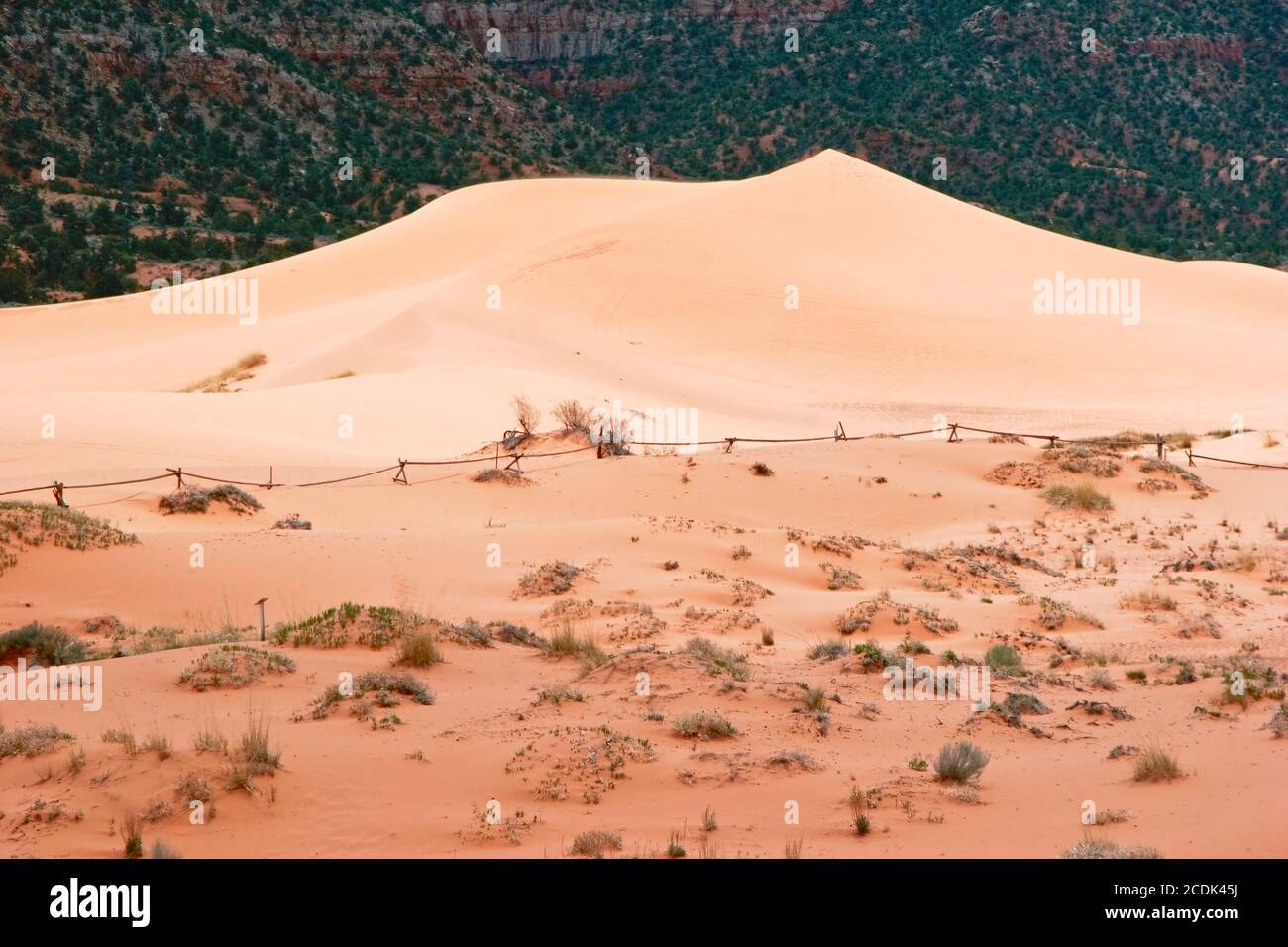 Coral Pink Sand Dune National park. USA Stock Photo - Alamy