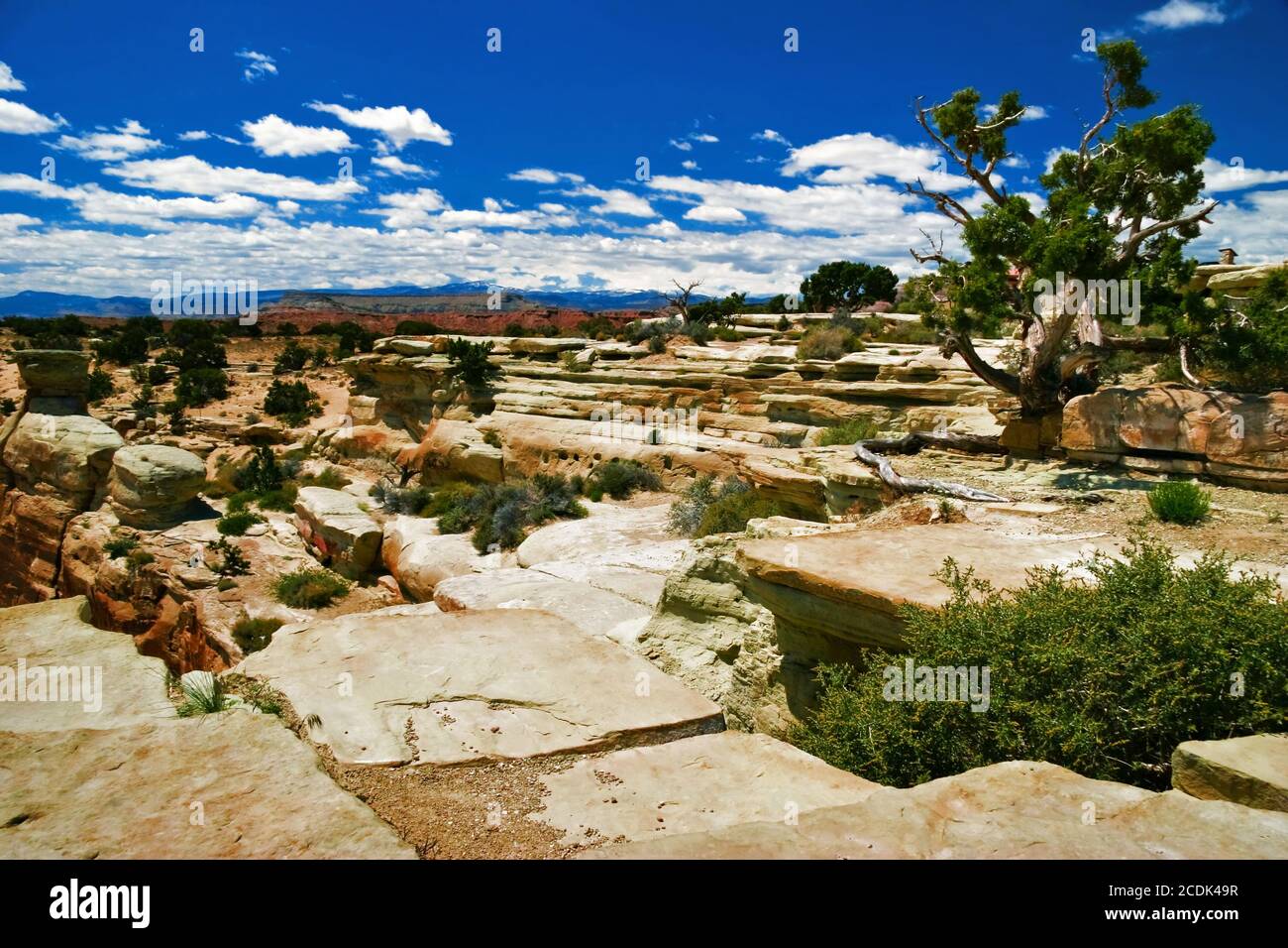 Landscape of Utah state. USA Stock Photo - Alamy