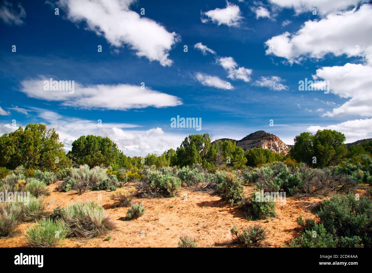 Landscape of Utah state. USA Stock Photo - Alamy
