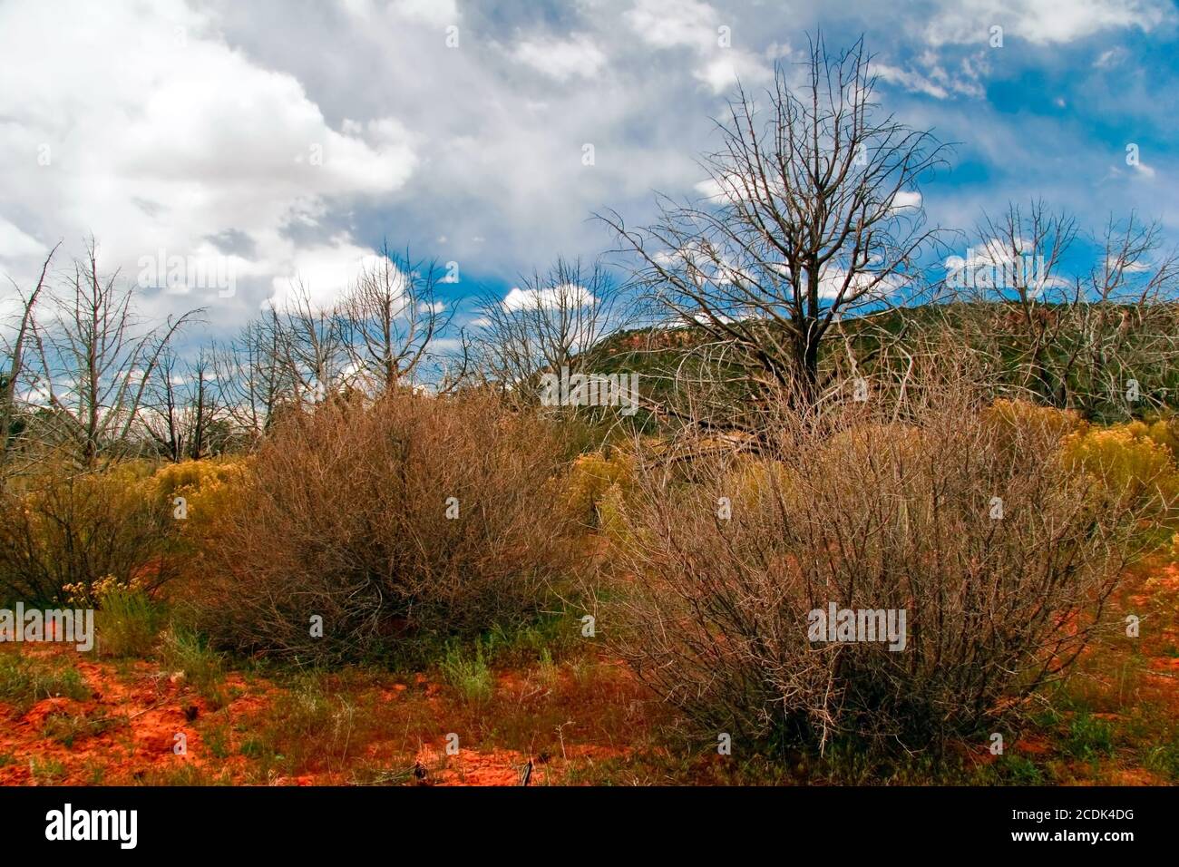 Landscape of Utah state. USA Stock Photo - Alamy