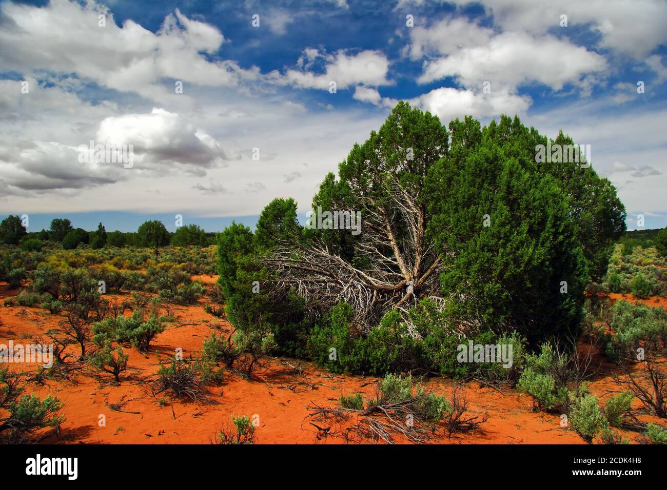 Landscape of Utah state. USA Stock Photo - Alamy