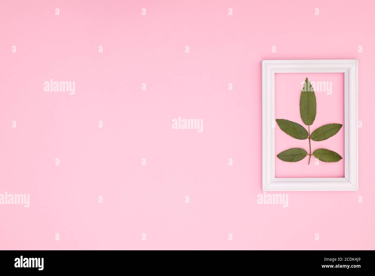 Creative decorated wooden frame for photo and text Stock Photo - Alamy