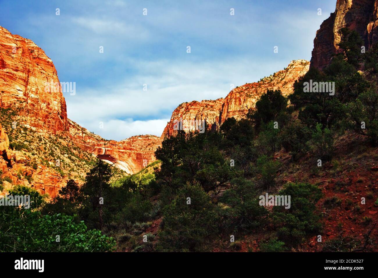 Slopes of Zion canyon. Utah. USA Stock Photo - Alamy