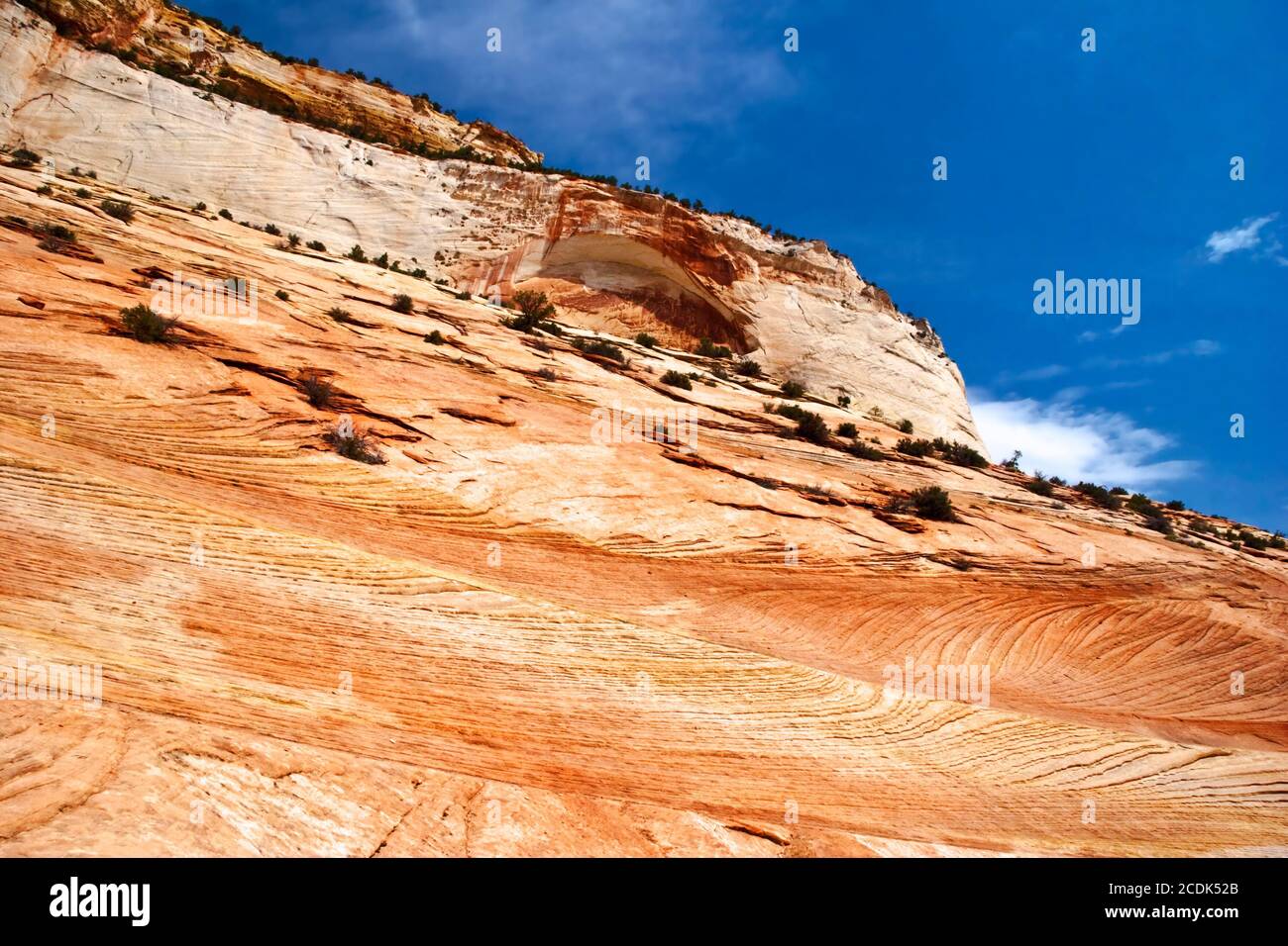 Slopes of Zion canyon. Utah. USA Stock Photo - Alamy