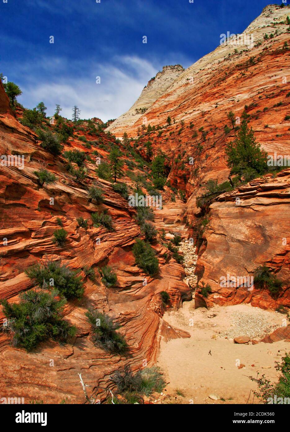 Slopes of Zion canyon. Utah. USA Stock Photo - Alamy