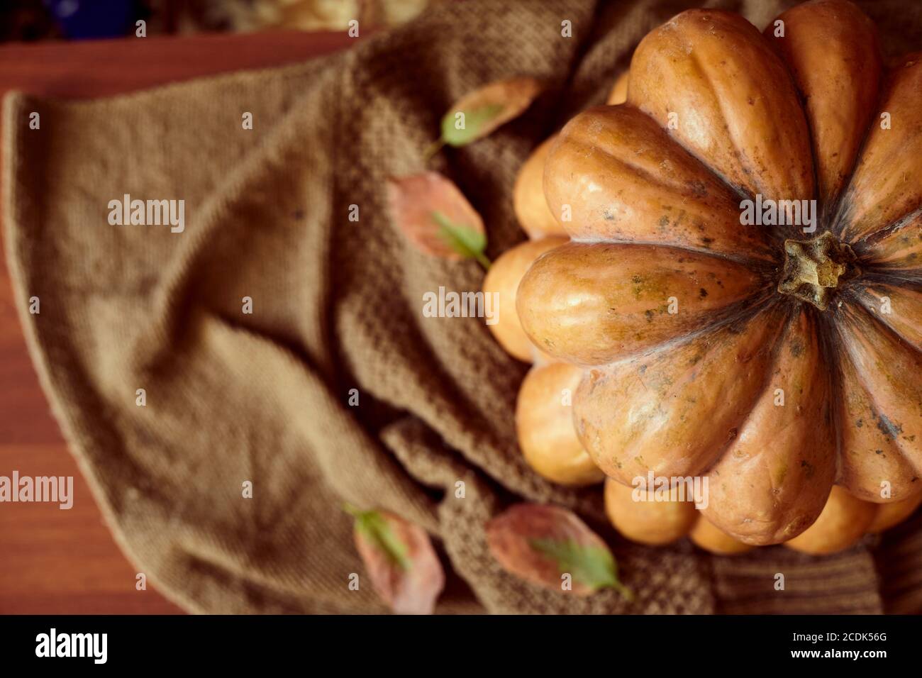 A group of different size autumn pumpkins with fall leaves Stock Photo ...