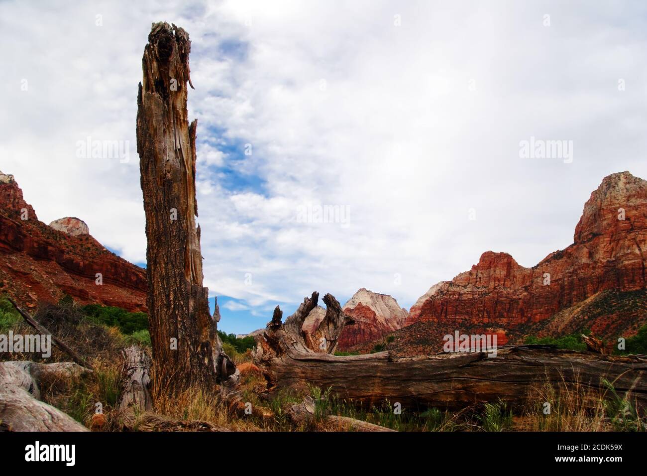 Slopes of Zion canyon. Utah. USA Stock Photo - Alamy