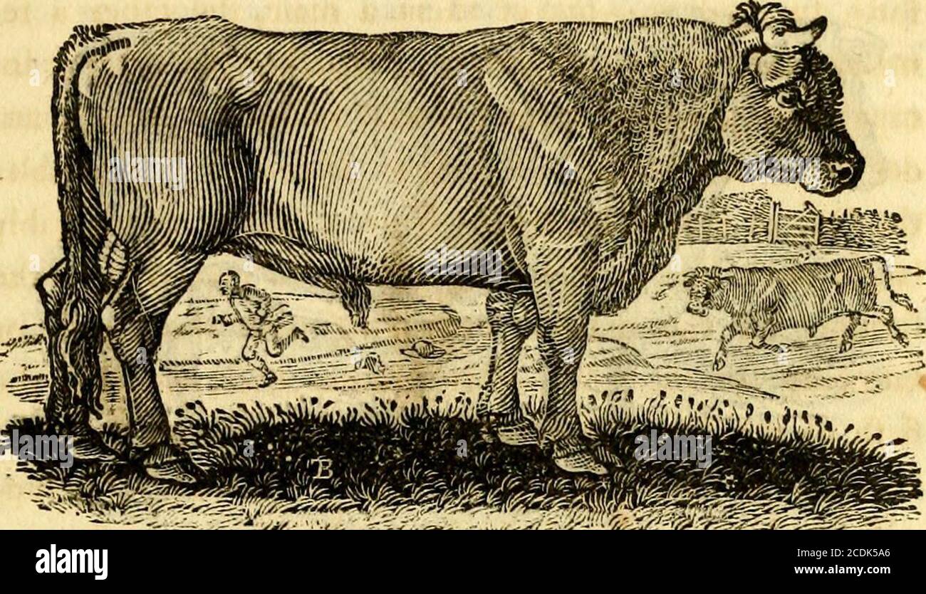 . A general history of quadrupeds : the figures engraved on wood ...