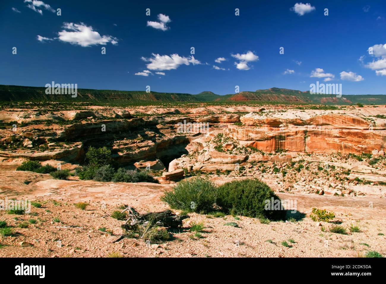 Landscape of Utah state. USA Stock Photo - Alamy
