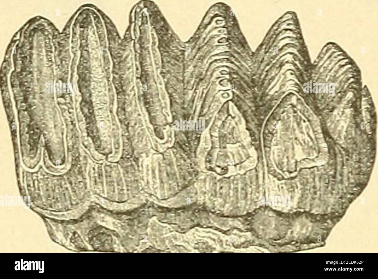 Aber eden hi-res stock photography and images - Alamy