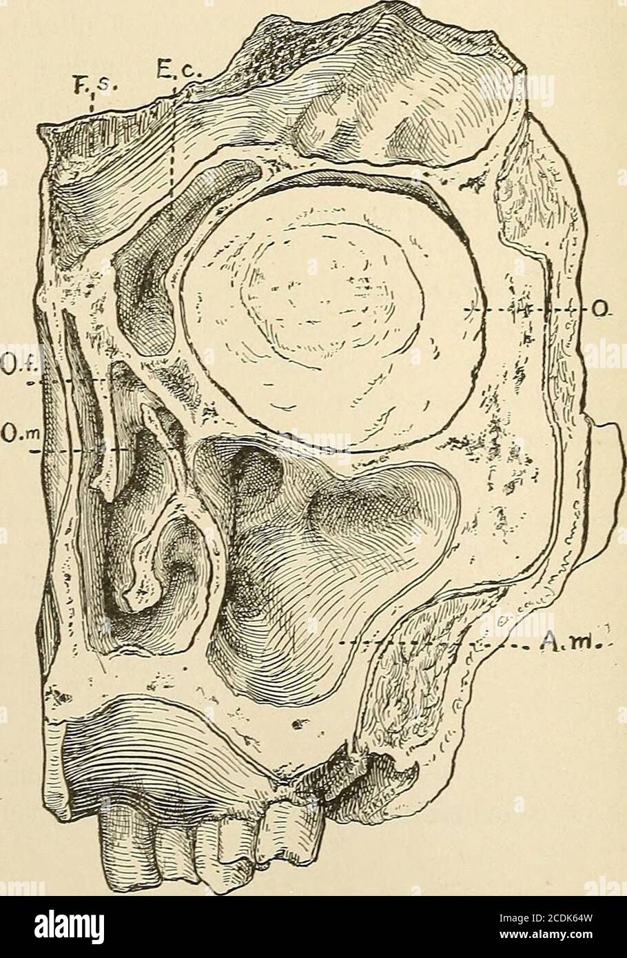 . Twentieth century practice; an international encyclopedia of modern ...