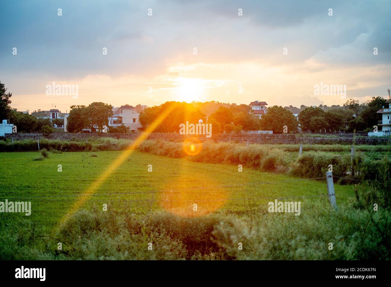 Sunset sunrise shot of indian farm with wheat grain growing buildings ...