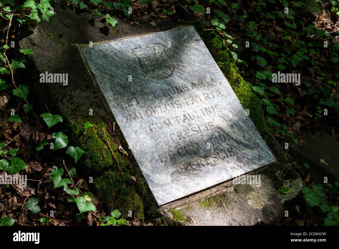 Memorial board of the old Pauliner monastery with Latin quotation from ...