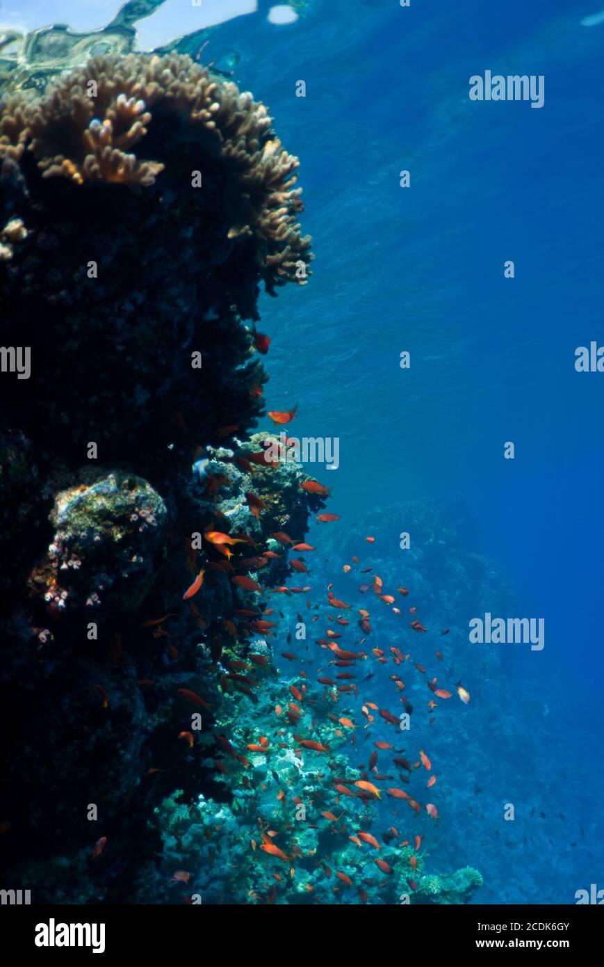 Reefscape hi-res stock photography and images - Alamy