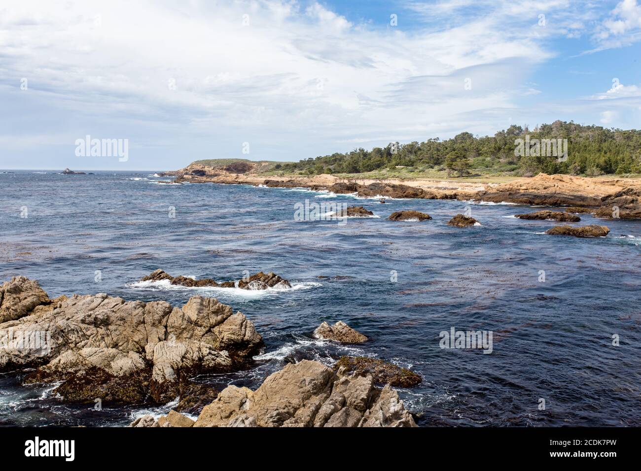 Point lobos state nature reserve hi-res stock photography and images ...
