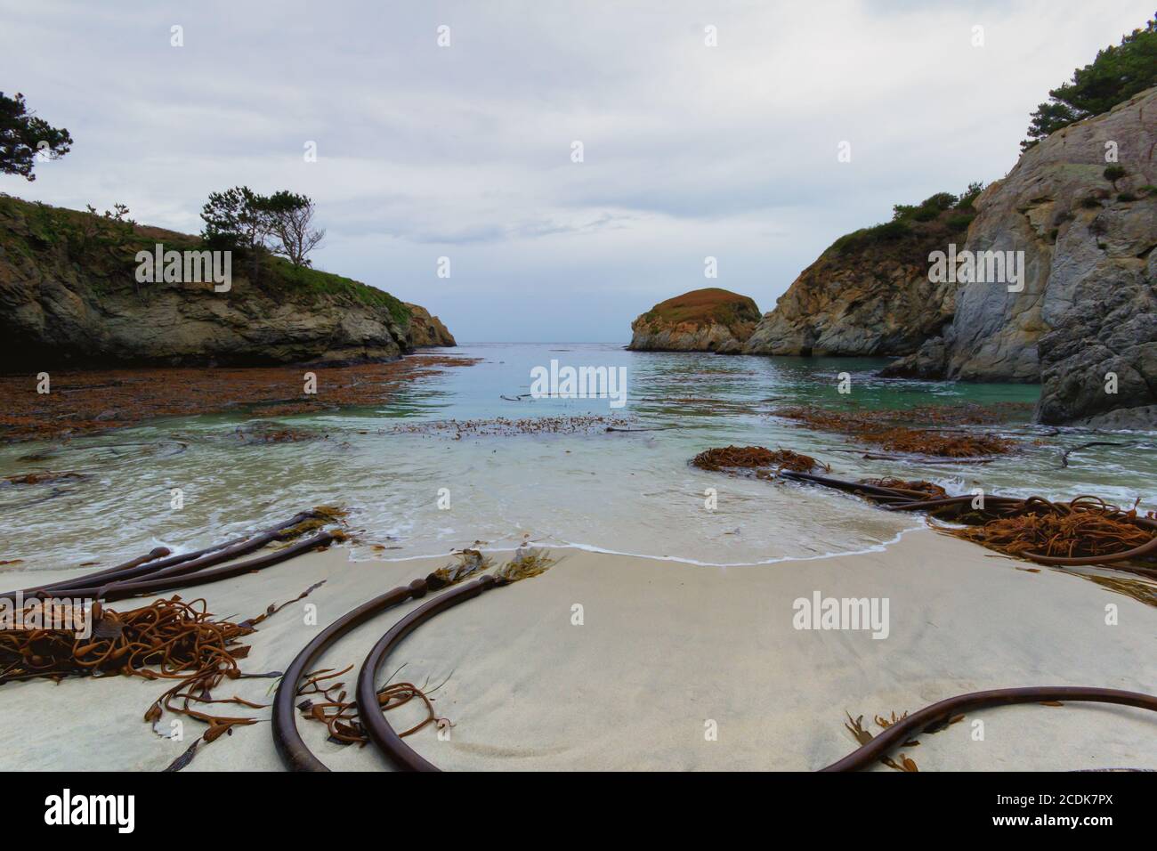 Point lobos state nature reserve hi-res stock photography and images ...