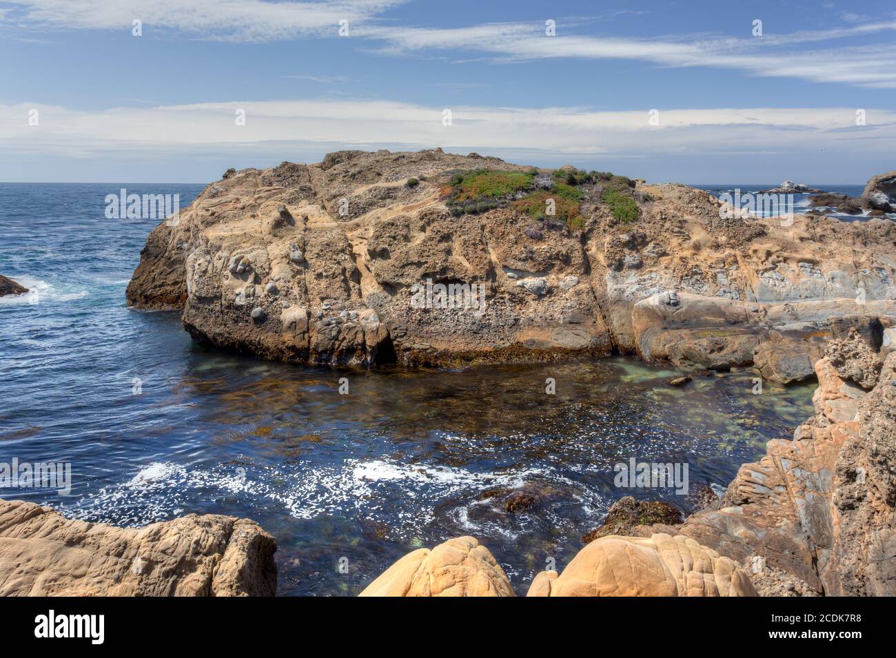 Point lobos natural state reserve hi-res stock photography and images ...