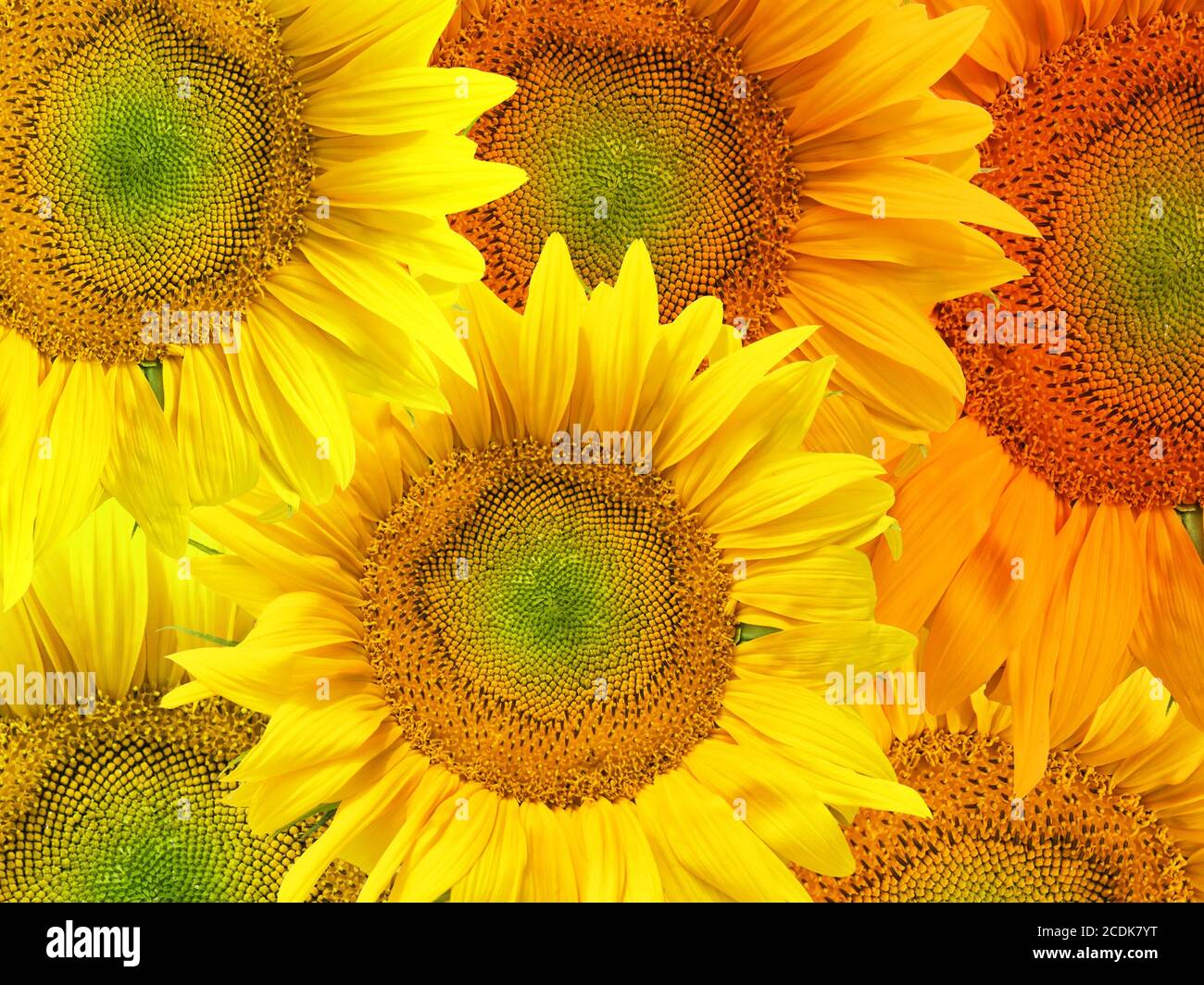 Farming backgrounds hi-res stock photography and images - Alamy