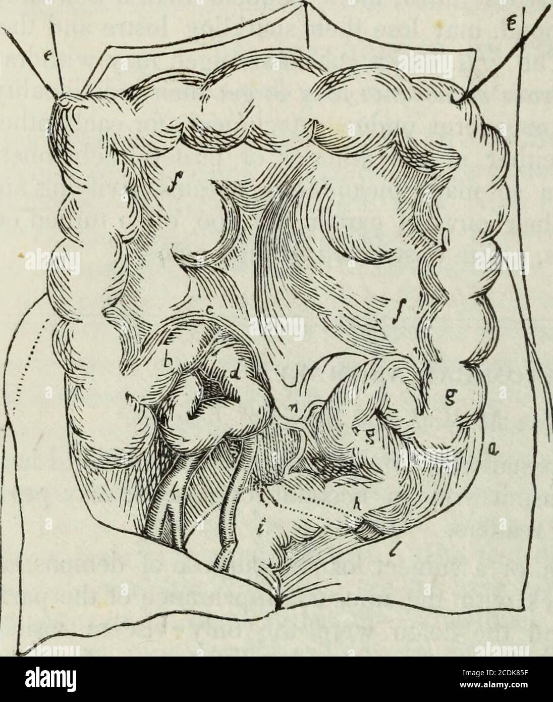 . The Boston medical and surgical journal . ne the odd look of the ...