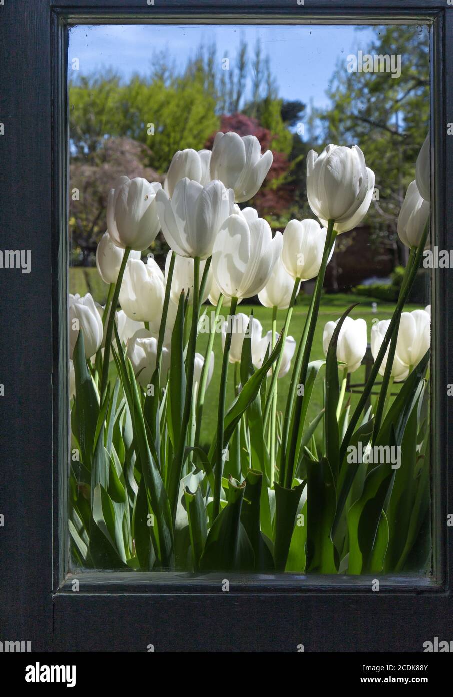 Window to the World Stock Photo - Alamy