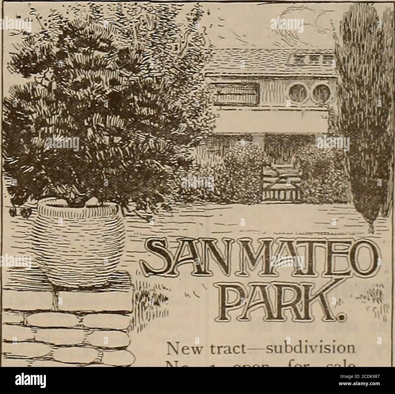 . The Argonaut . ent with irresistible vivacity. Onecould feel that ...