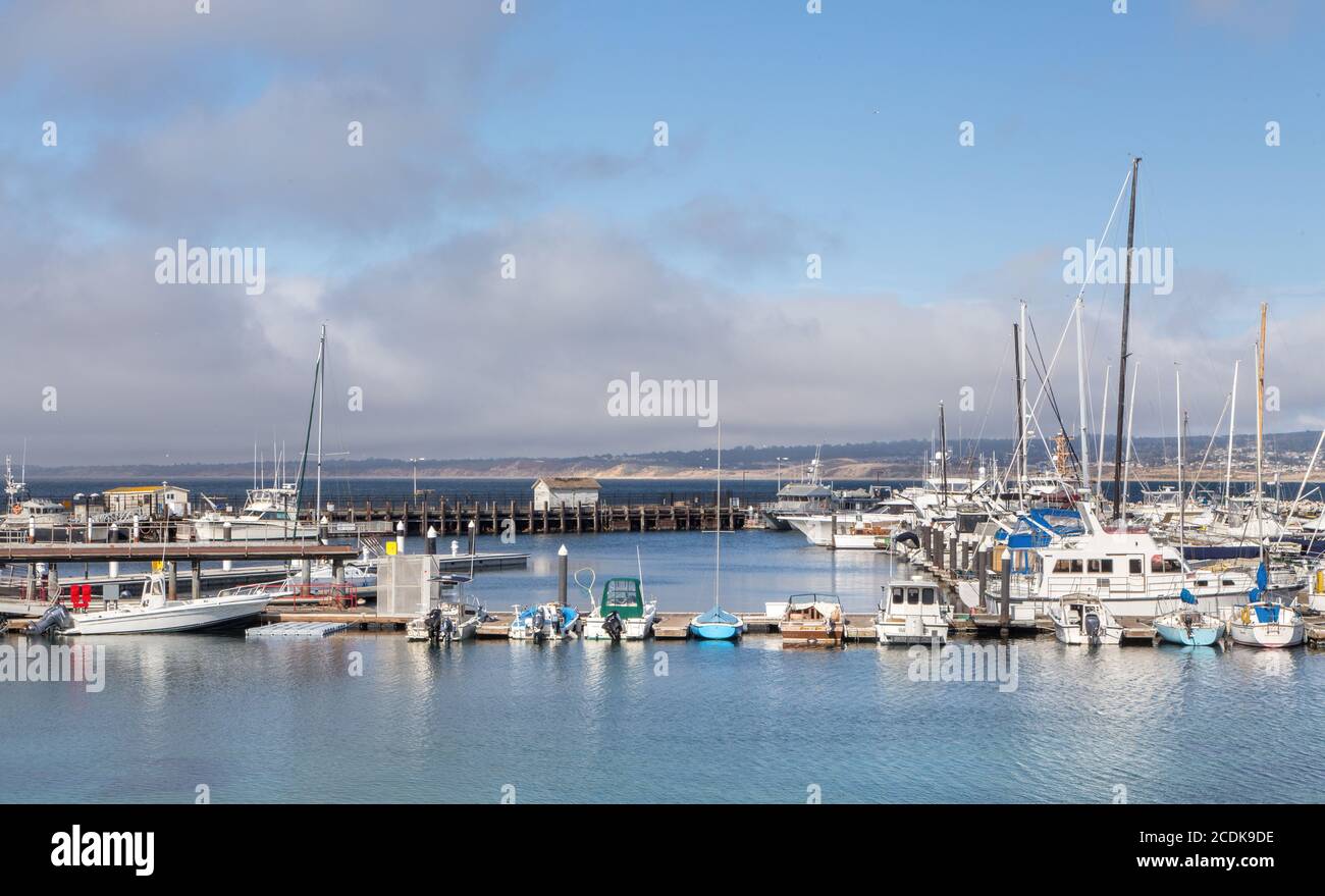 Monterey marine sanctuary hi-res stock photography and images - Alamy
